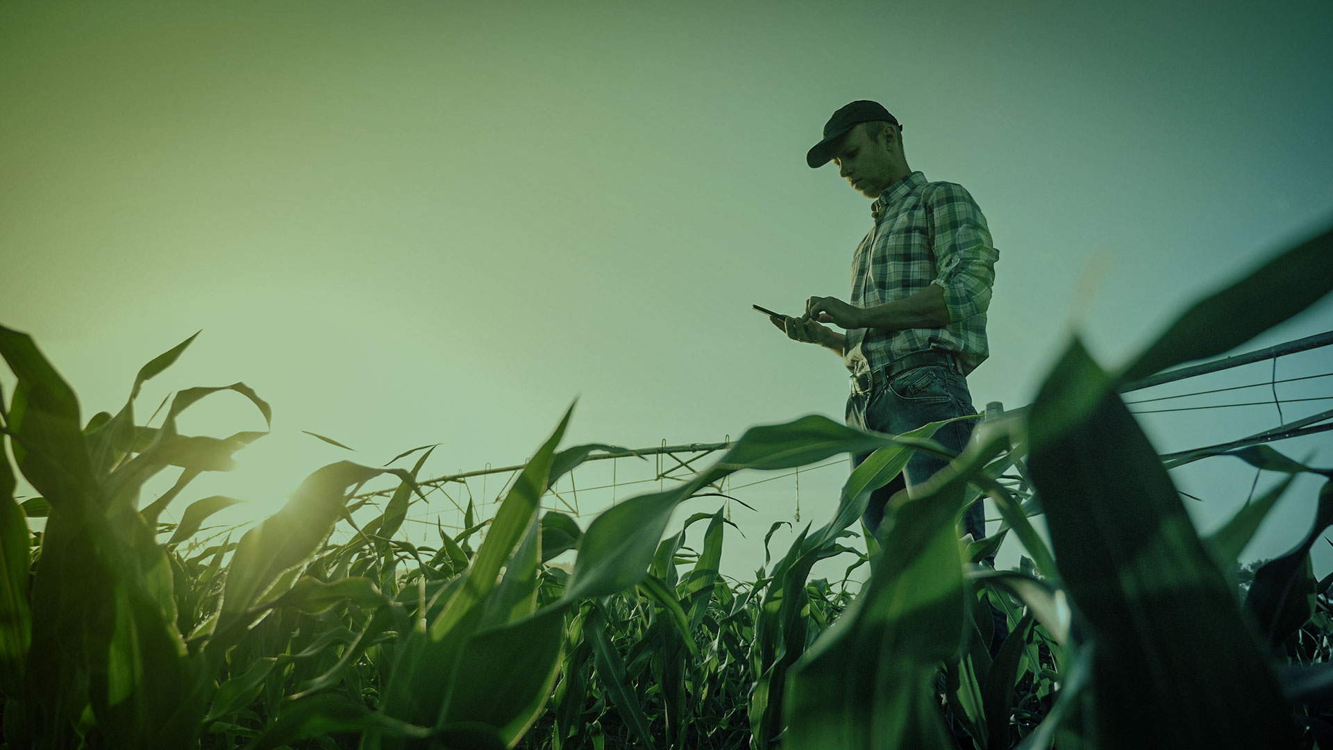 Crop Intelligence - Taranis